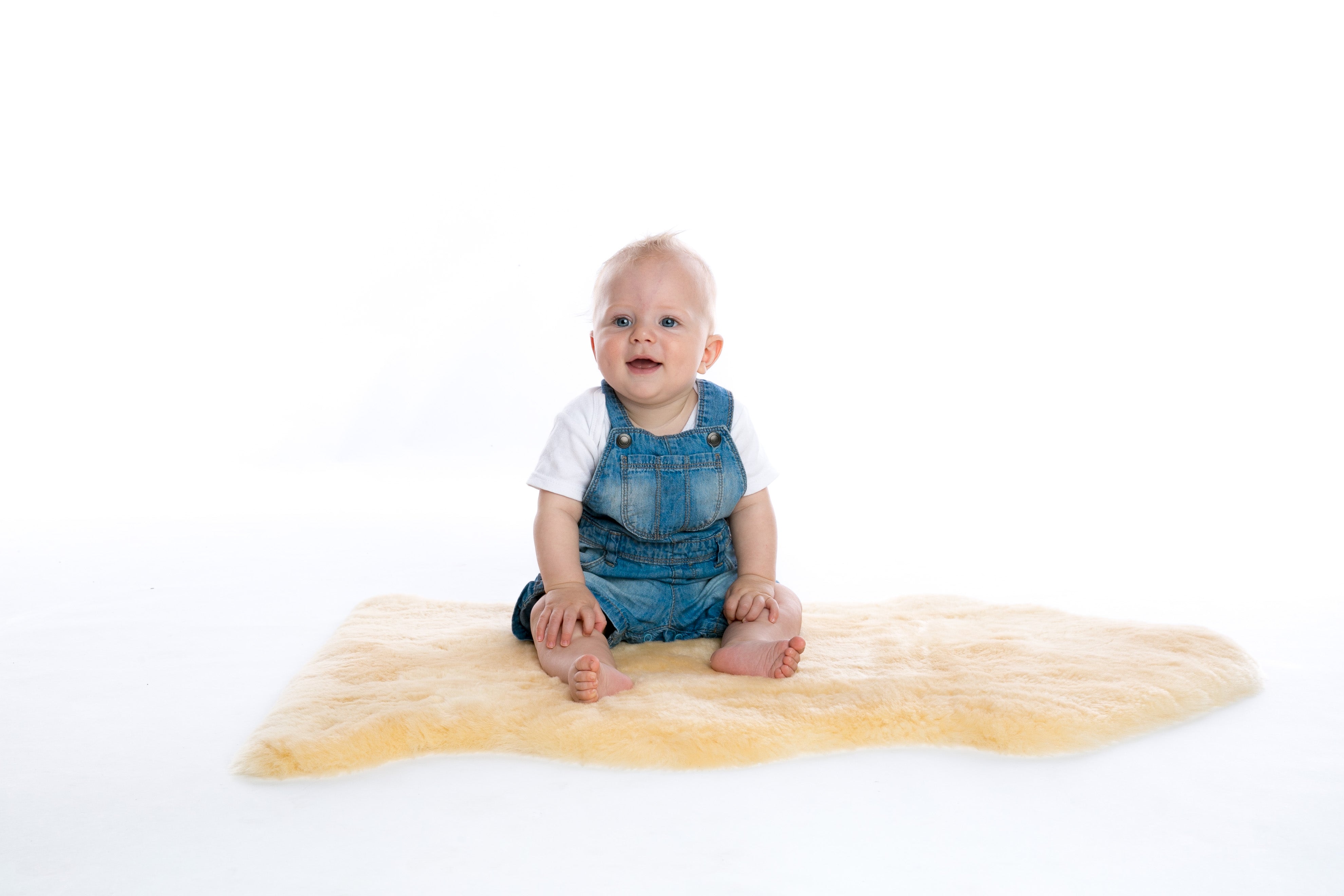 Sheepskin Rugs – Fibre by Auskin Australia