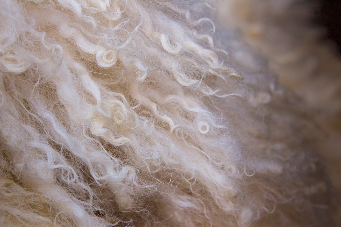 Wool and Texture Options – Fibre by Auskin Australia